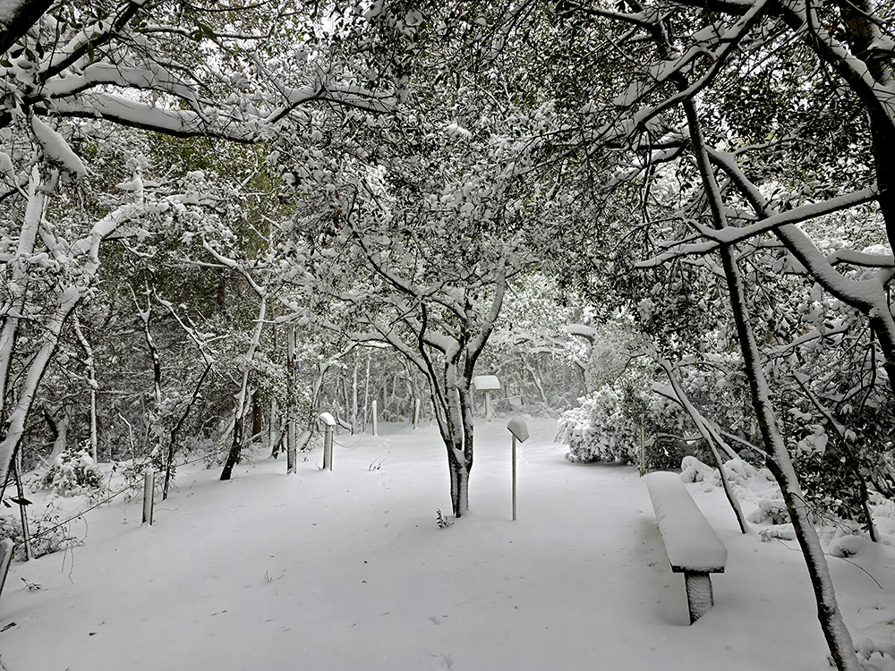 Snow on the Outer Banks – Frisco Native American Museum