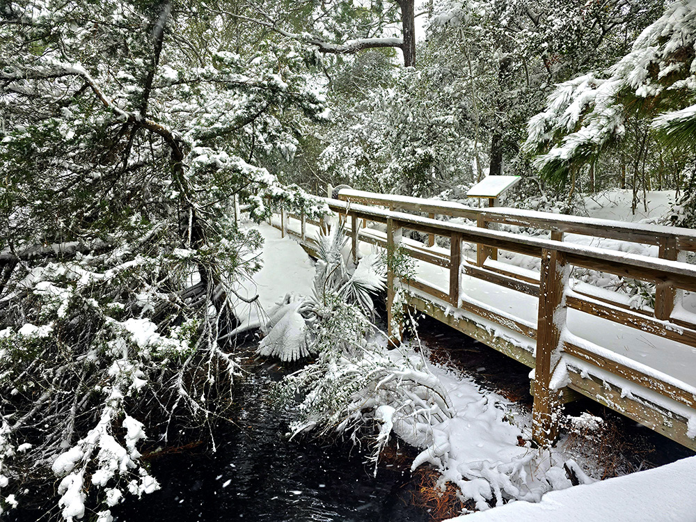 Snow on the Outer Banks – Frisco Native American Museum